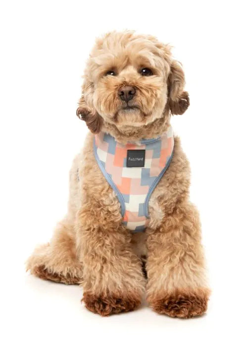 Yazd - Dog Harness – In Vogue Pets