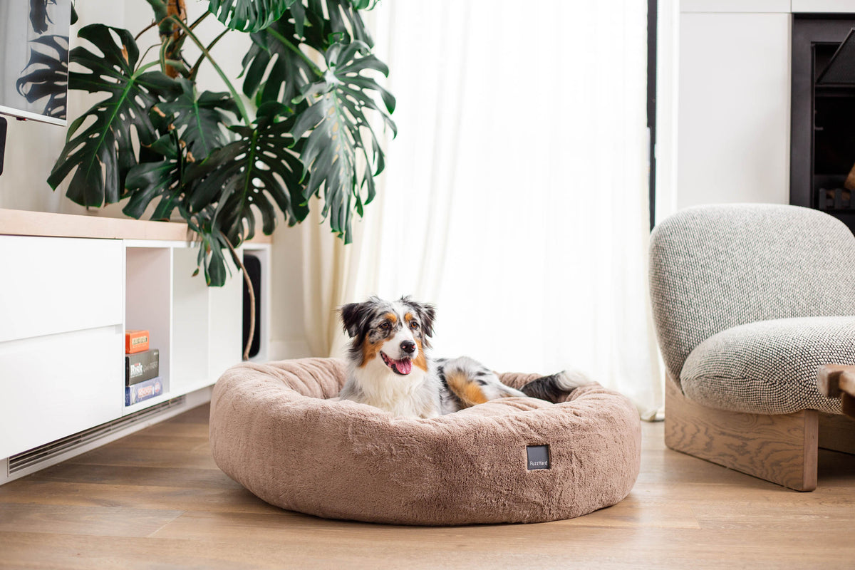 In Vogue|UK Trade Suppliers of FuzzYard Beds – In Vogue Pets