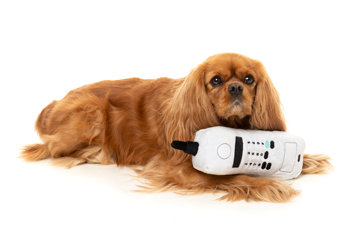 In Vogue Pets UK Suppliers of Pets Toys