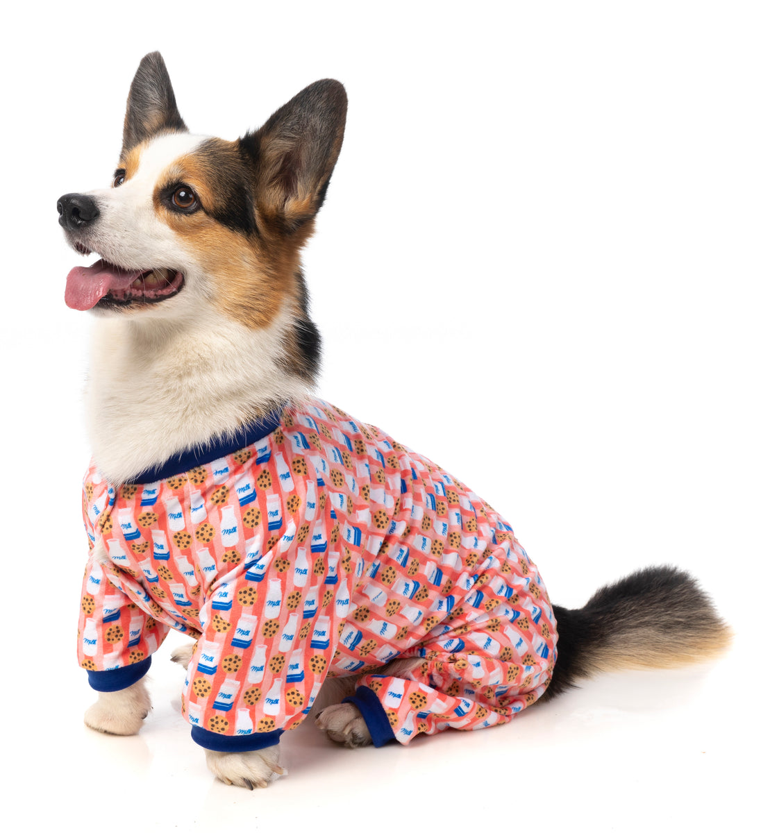 In Vogue Pets | FuzzYard UK Pet Pyjamas