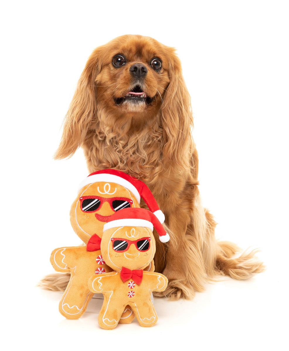 FuzzYard UK | Christmas & Halloween Pet Products – In Vogue Pets
