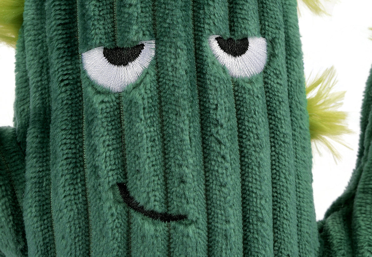 Blooming Buddies Prickly Pup Cactus – In Vogue Pets